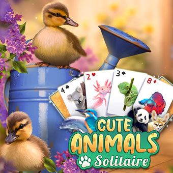 magnussoft® | Kartenspiele
